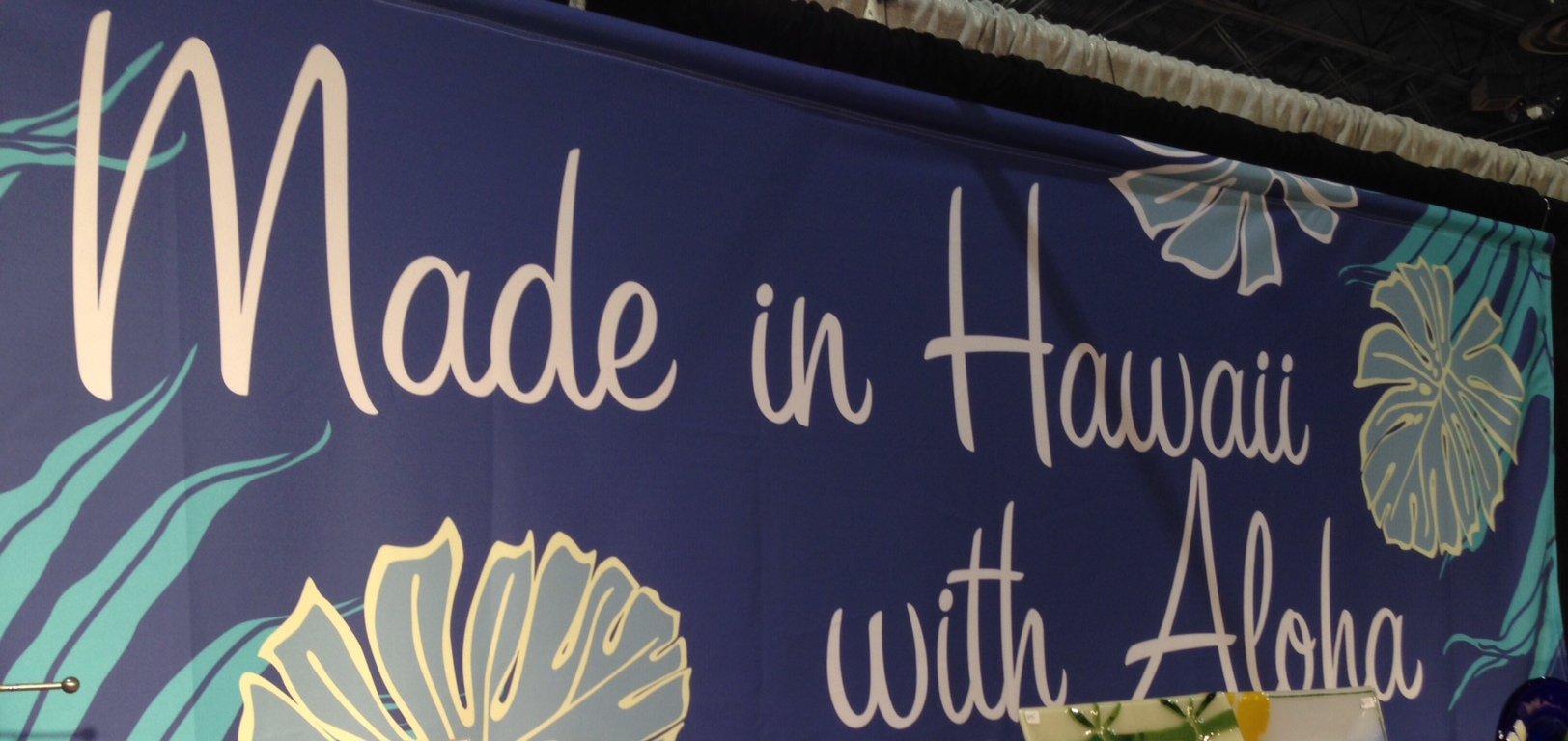 Hawaii's Creative Industries | Hawaii visual artists showcase in the ...